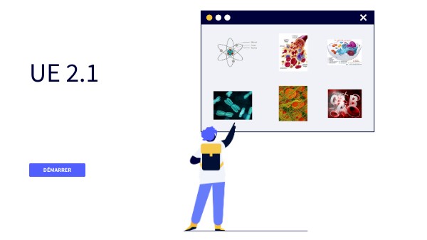 Copie complète | Genially