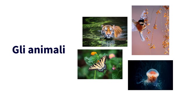 GLI ANIMALI