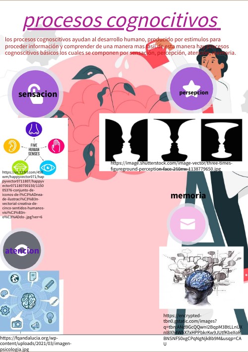 procesos cognoscitivos