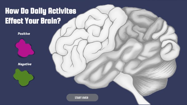 Effects on the Brain