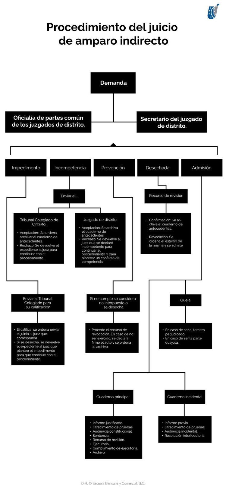 Procedimiento del juicio de amparo indirecto | Genially