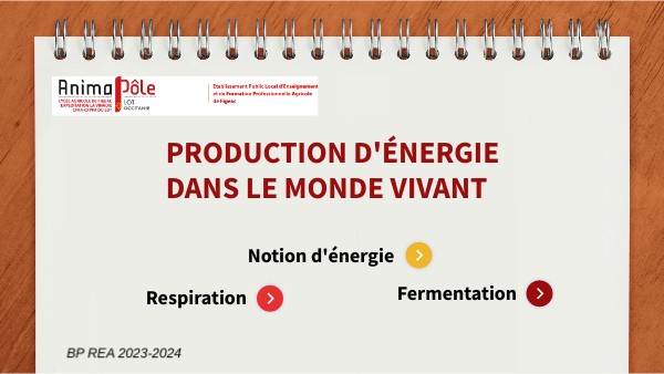 Energie dans le monde vivant | Genially