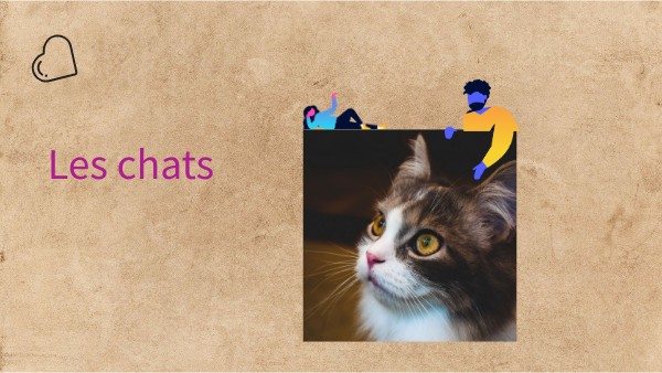 Les chats💖
