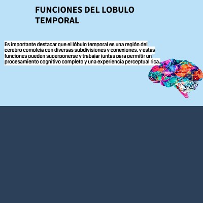 funciones y ubicacion de estrutura del lobulo temporal