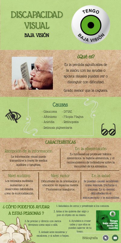 Infografía baja visión | Genially