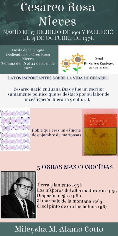 BRANDBOARD CORPORATIVO VERTICAL