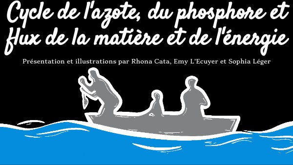 Équipe #9 : cycle azote et phosphore | Genially