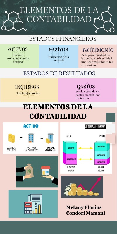ELEMENTOS DE LA CONTABILIDAD