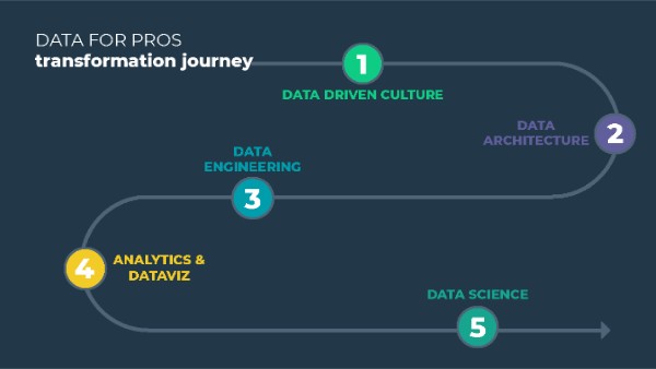 Data pros road map