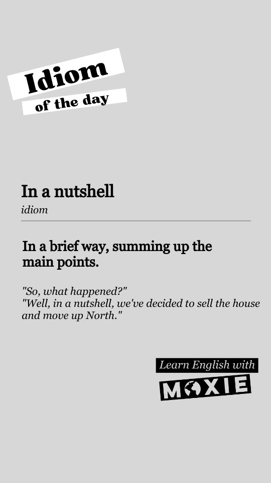 Idiom 25 _In a nutshell