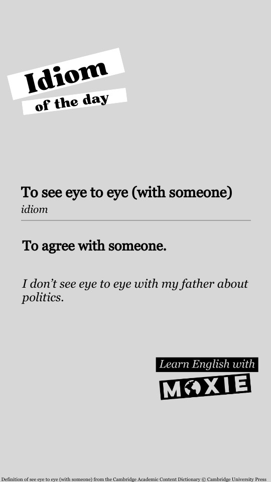 Idiom 15 _See eye to eye