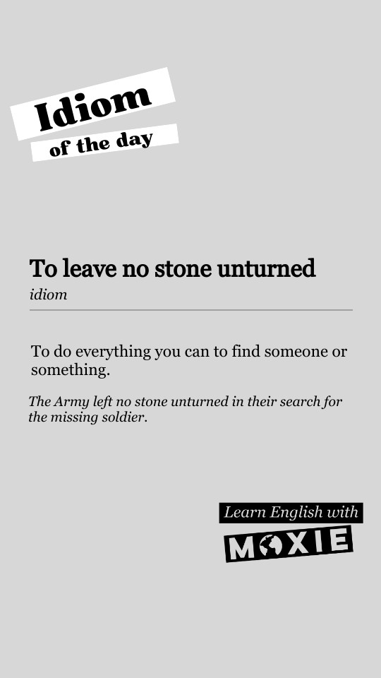 Idiom 72 _To leave no stone unturned