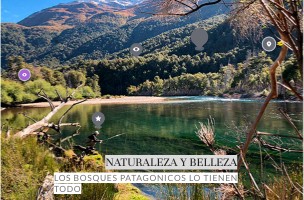 bosques patagonicos | Genially