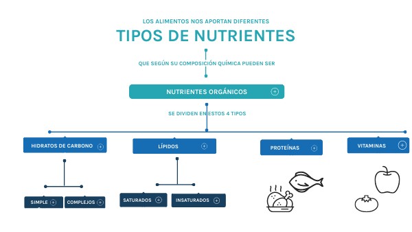 MAPA CONCEPTUAL TIPOS DE NUTRIENTES | Genially