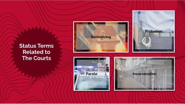 Criminal Justice & Corrections Terms