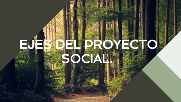 PRESENTACIÓN PROYECTO DIAGONAL