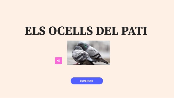 QUIZ OCELLS | Genially