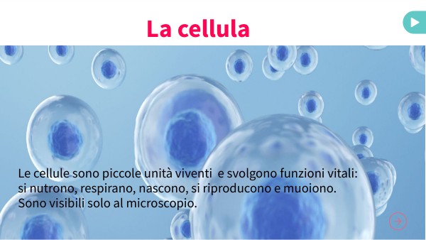 Poster interattivo cellula | Genially