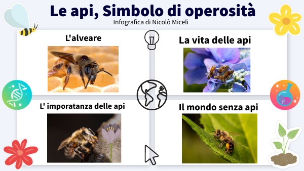 LE API - INFOGRAFICA MICELI 2°A | Genially