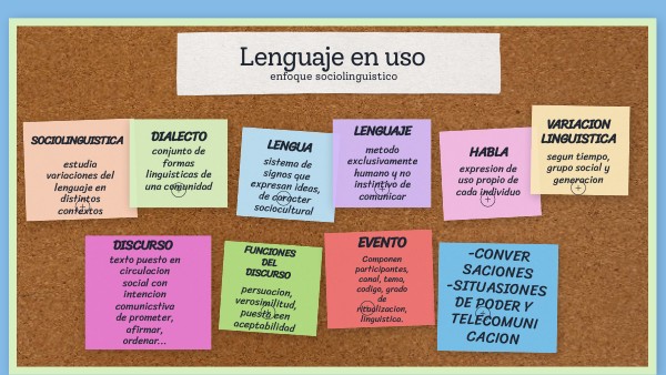 RAITER- LENGUAJE EN USO