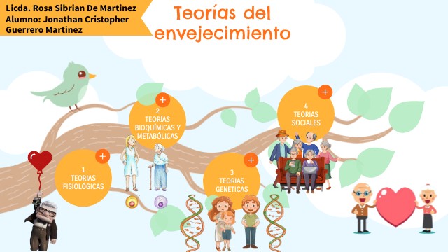 Teorías del envejecimiento | Genially