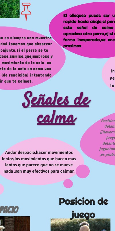 señales de calma