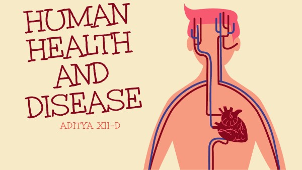 HUMAN BODY PRESENTATION | Genially