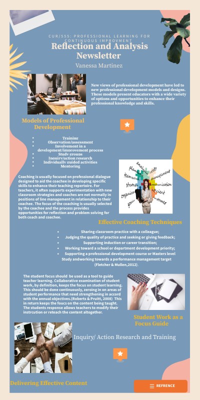 Reflection and Analysis Newsletter