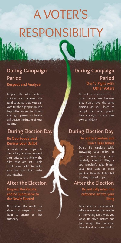 A Voter's Responsibility