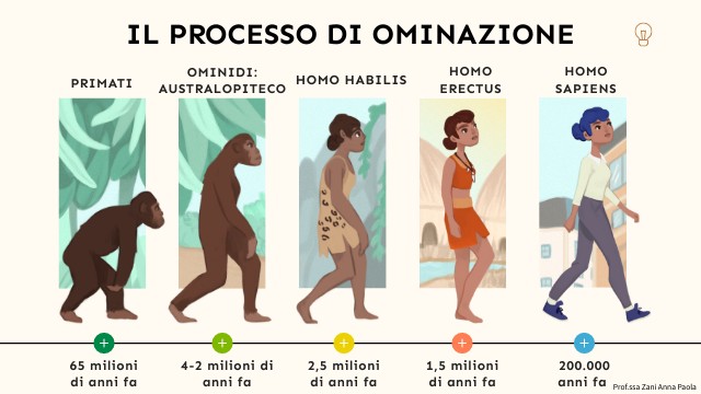 STAGES OF HUMAN EVOLUTION | Genially