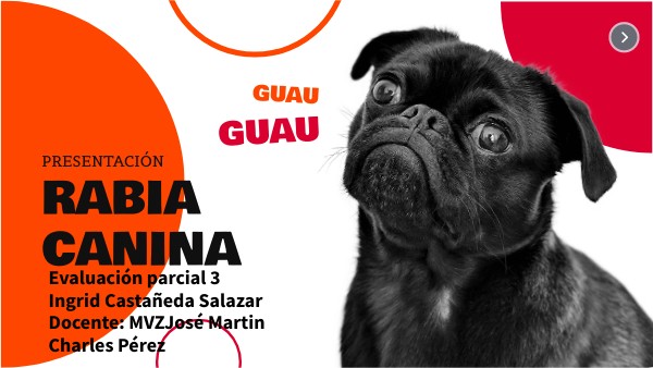 PRESENTACIÓN rabia canina | Genially