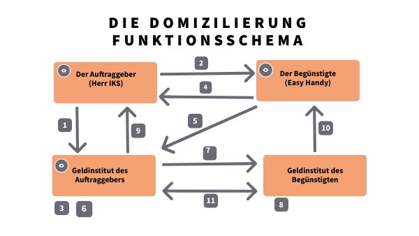 Die Domizilierung- Funktionsschema | Genially