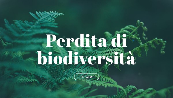 Perdita della biodiversità