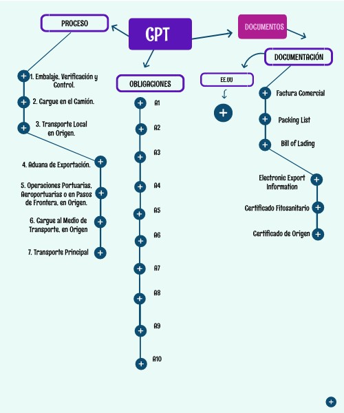 CPT - CIP | Genially