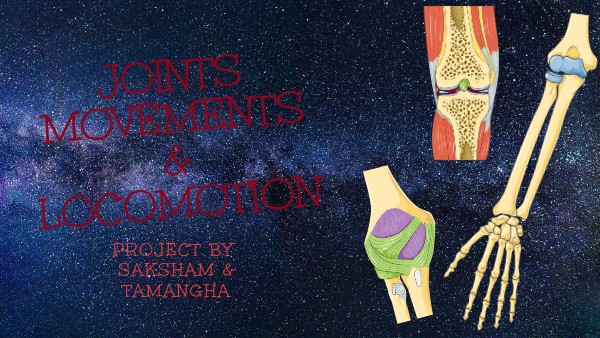 HUMAN BODY PRESENTATION | Genially