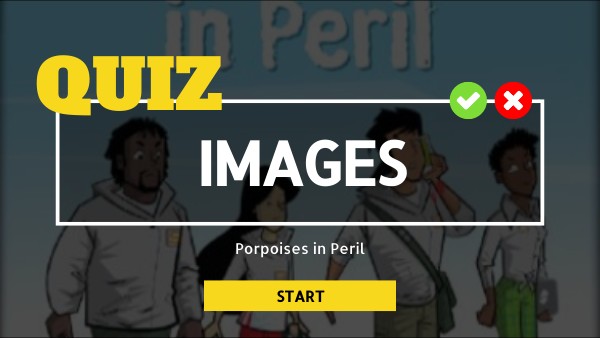 Porpoises in Peril Vocabulary