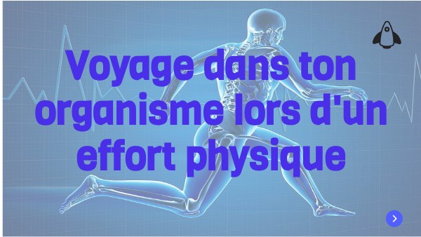 Modifications physique à l'effort | Genially