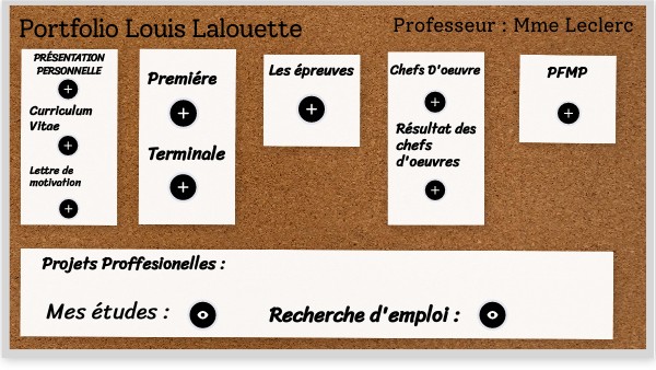 portfolio louis lalouette