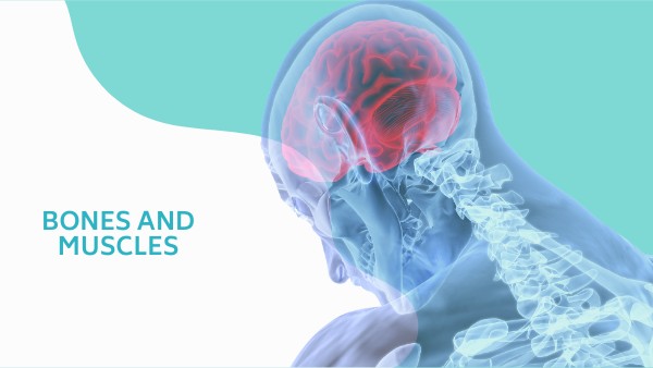 BONES AND MUSCLES | Genially