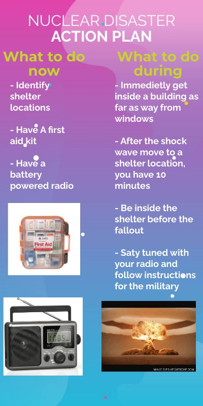 Nuclear Disaster Action Plan