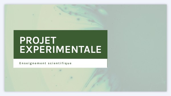 PROJET ES | Genially