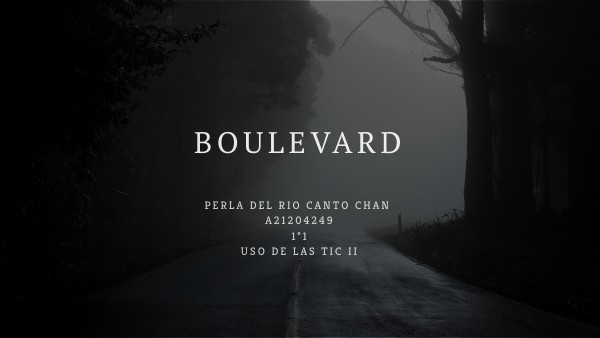 boulevard