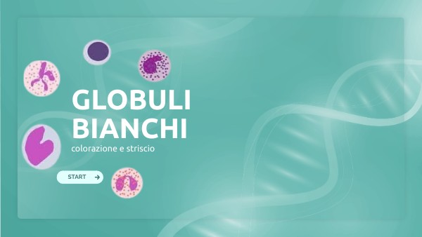 globuli bianchi | Genially