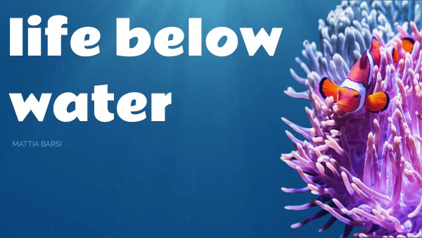 life below water