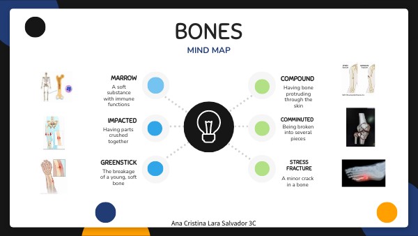 mind maps lessons 2,3,4 and 5