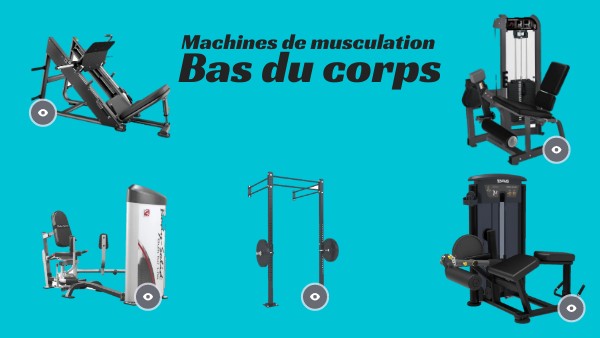 Machines de musculation