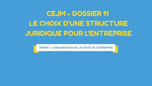 CEJM 11 Choix d’une structure juridique | Genially