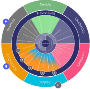 CPD Wheel Concept | Genially