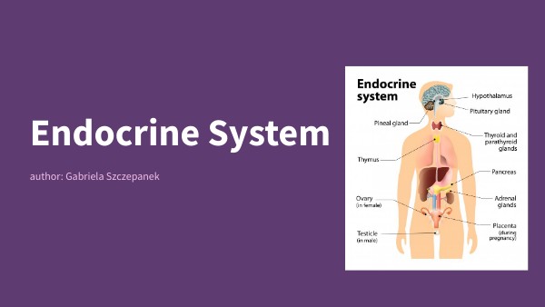 Endocrine System | Genially