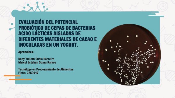 Bacterias Ácido Lácticas | Genially